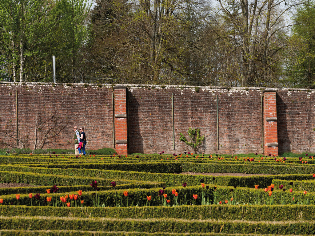 Mount Stuart | Brand | Digital | Strategy | Graphical House