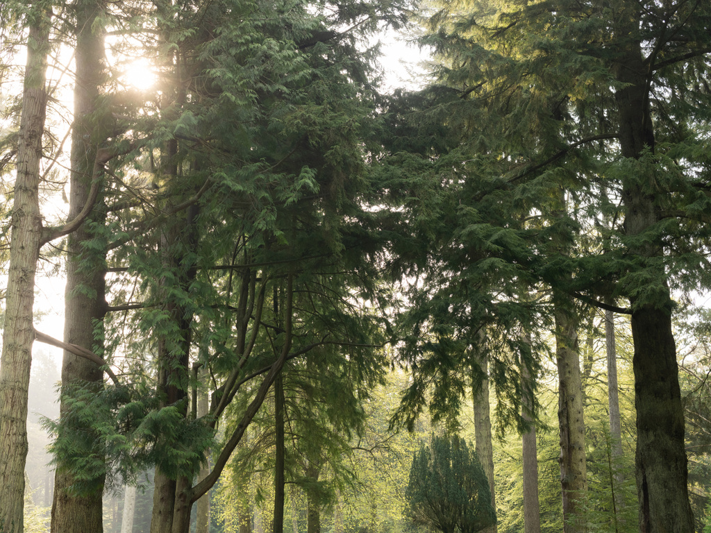 Mount Stuart | Brand | Digital | Strategy | Graphical House